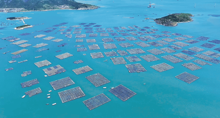 数字中国说｜这，就是数字福建！_权威发布_数字中国建设峰会